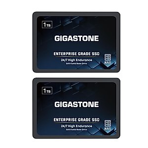 Gigastone Enterprise SSD 1TB NAS SSD Drive Cache (2-Pack) 24/7 Durable TLC High Endurance Business Server Data Center RAID Network Attached Storage 2.5" SATA Internal Solid State Hard Drives