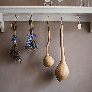 Picowe Set of 6 Double Prong Ceiling Hook Under Shelf Coat Hooks Bathroom Towel Bedroom Robe Hook for Hanging Baseball Cap, Coat, Clothes and Jewelry (White)