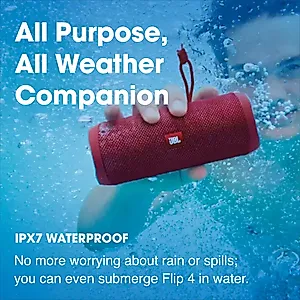 JBL Flip 4, Black - Waterproof, Portable & Durable Bluetooth Speaker - Up to 12 Hours of Wireless Streaming - Includes Noise-Cancelling Speakerphone, Voice Assistant & JBL Connect+