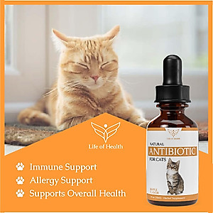 Natural Antibiotics for Cats - Cat Antibiotics - Cat Antibiotic - Pet Antibiotics - Cat Immune Support - Antibiotic for Cats - Cat Multivitamin - Cat UTI Antibiotics - (2 Pack)