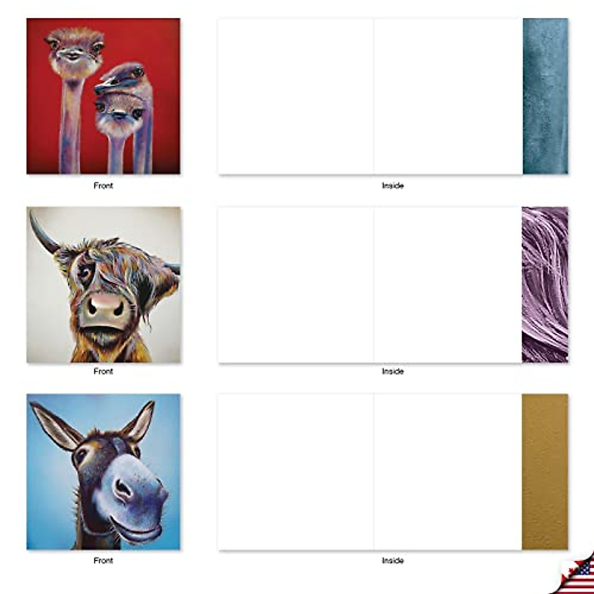 The Best Card Company - 10 Adorable Note Cards Blank (4 x 5.12 Inch) - Wildlife and Animal Cards, Assorted Boxed Kids Set - Animal Magnetism AMQ6218OCB-B1x10