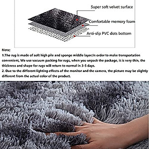 wxnzsl Fluffy Bedroom Rug 3x5 Fuzzy Shaggy Floor Carpet, Soft Plush Furry Rug for Living Room/Girls/Boys Room - Light Gray