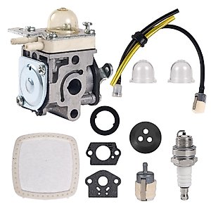 Mikatesi A021004700 PB-2520 Carburetor Kits for Echo PB-2520 PB2520 PB 2520 Leaf Blower, Replaces Part A021000722 A021000723, with A226002160 Air Filter