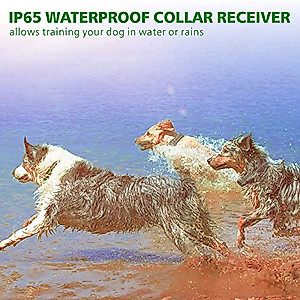 F-color Dog Training Collar 2600FT Dog Shock Collar for Large Medium Small Dogs Breed with 4 Modes Light Beep Vibration Shock Waterproof Rechargeable Shock Collar for 3 Dogs