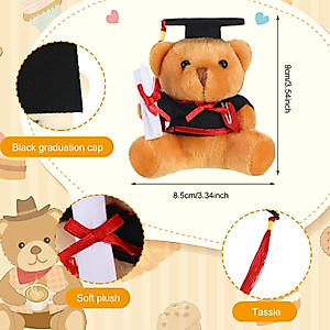 Skylety 6 Pieces Plush Graduation Bears Kindergarten Graduation Stuffed Animal Graduation Bear Graduation Plush Toy with Black Cap and Keychain for Preschool Elementary High School College Graduation