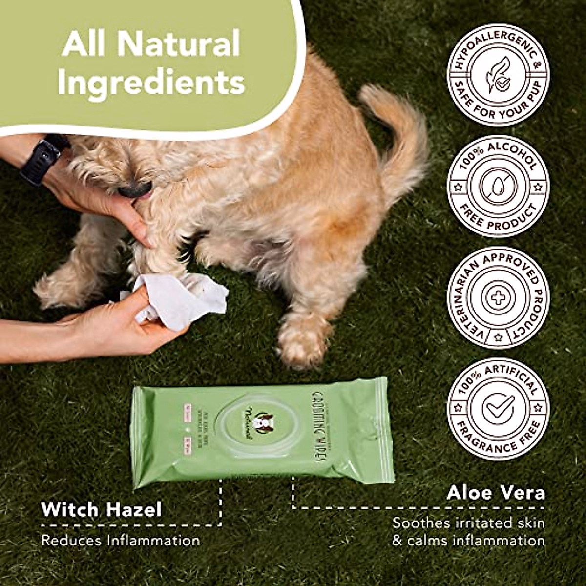 Natural Dog Company Grooming Wipes with Aloe Vera, Cleanses, Soothes, & Deodorizes, Fragrance Free, Hypoallergenic, Biodegradable Wipes (50 Wipes) Aqua