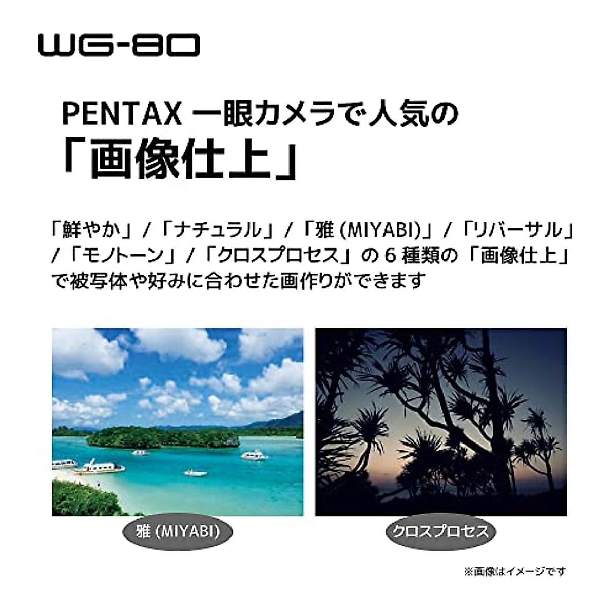 Ricoh WG-80 Black Waterproof Digital Camera Shockproof Freezeproof Crushproof (International Version)