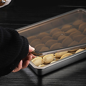 Dumpling Storage Box, Stainless Steel Dumpling Organizer Food Storage Containers Stainless Steel Food Tray with Lid, Dumpling Freezer Organizer for Kitchen and Fridge