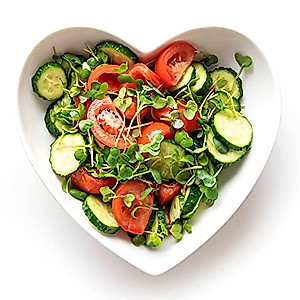 Back to the Roots 43002 Organic Microgreens Grow Kit with Ceramic Planter