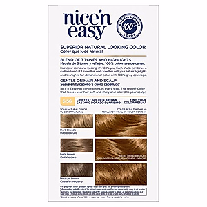 Clairol Nice'n Easy Permanent Hair Color, 6.5 Lightest Golden Brown, 1 Count