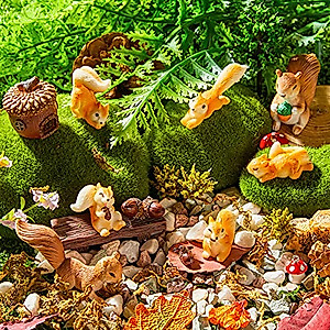 14 Pieces Miniature Squirrel Figurine Squirrel Cake Toppers Mini Fairy Figurine Squirrel Collection for Landscape Garden DIY Terrarium Cake Decoration
