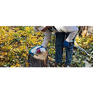 Dow AgroSciences RTU548 Tordon RTU Herbicide QT Size