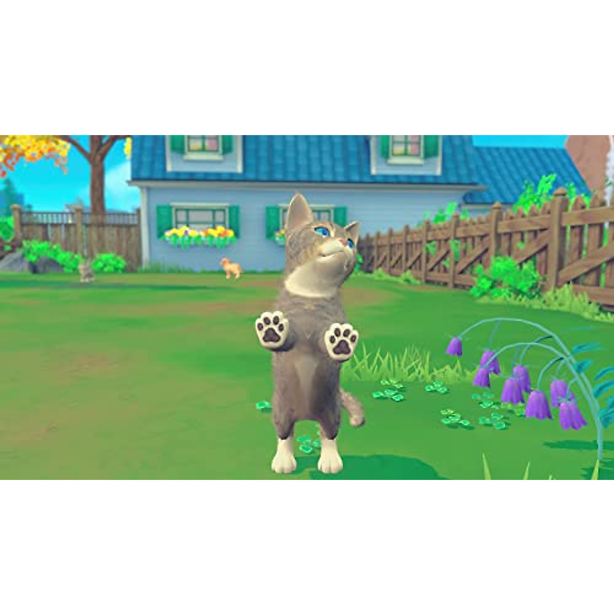 My Universe: Pets Edition (NSW)