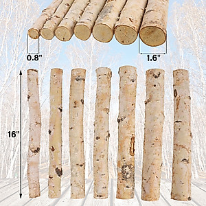 Prsildan 12 Pack White Birch Logs for Fake Fireplace Decorative Natural Birch Tree Branches Wood DIY Fire Logs Crafts for Indoor Outdoor Gas Faux Fireplace Filler Decoration (0.8"-1.6" Dia)