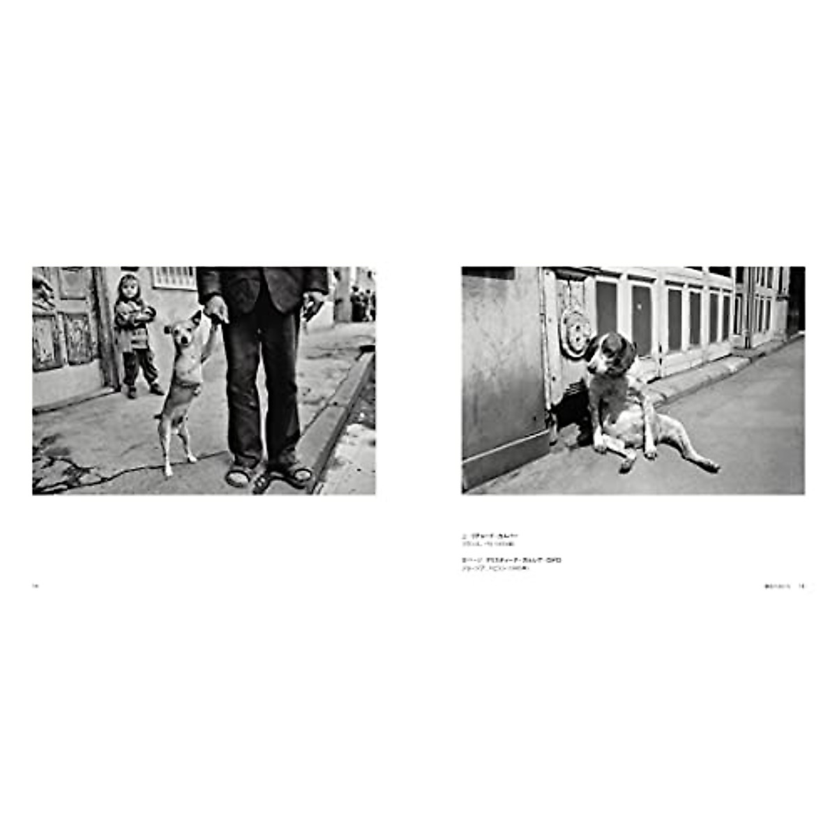 MAGNUM DOGS マグナムが撮った犬