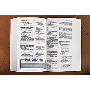 NIV, Teen Study Bible (For Life Issues You Face Every Day), Paperback, Comfort Print