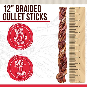Best Dog Chews Braided Gullet Sticks-100% Natural and Delicious Dog Treats and Protein Rich Chews-Fully Digestible Promotes Joint & Dental Health for All Breed Sizes Dogs and Puppies 12inch (2 Count)