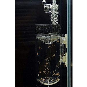 PETGROUP Aquarium Cichlids Fish Egg Incubator Tumbler Fish Hatchery Mouth-Brooding 70mm & Shrimp