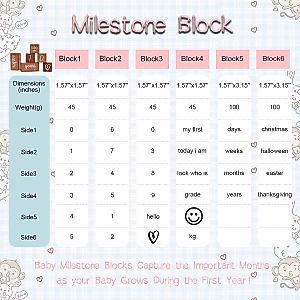 Promise Babe Milestone Blocks Set of 6 Baby Age Blocks for Monthly Milestone Wooden Photo Props Set Perfect for Baby Shower and Keepsake