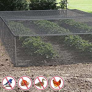 2 Pcs Garden Net Barrier - 10 x 13 ft for Each Bird Garden Screen Mesh Netting, Heavy Duty Garden Mesh for Terraces Balconies Patios Protecting Your Skin Plants Vetegables DIY (Black)