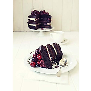 Blendtec Self-Cleaning-3 Preprogrammed Chef 600 WildSide+ Jar Professional-Grade Blender, 11.40 lbs, Black