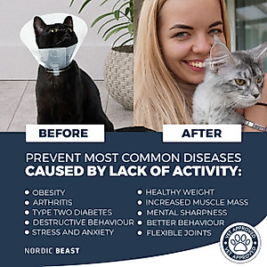 48'' Large Cat Wheel – Size Which Doesn't Negatively Affect Cat's Spine – Nordic Beast, Cat Exercise Wheel Indoor, Cat Wheels for Indoor Cats, Cat Treadmill, Cat Running Wheel, Cat Wheel Exerciser