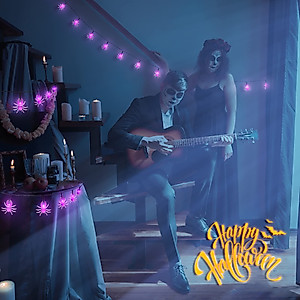 Oopswow Halloween Decor Spider String Lights, Solar String Light,2PACK 20ft 30 LED Outdoor Decorative Lights for Patio, Garden, Gate, Yard, Halloween Christmas Decoration (2Pack,Spider)