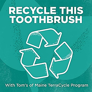 Tom's of Maine Whole Care Toothbrush, Soft, 4-Pack