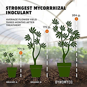 DYNOMYCO Premium Mycorrhizal Inoculant - Root Enhancer/Stimulator - Mycorrhizae for Plants - Concentrated Mycorrhizal Inoculant - Supreme myco strains - Treats up to 68 Plants! (340 g / 12 Oz)