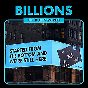 DUDE Wipes - Flushable Wipes - 6 Pack, 288 Wipes - Unscented & Mint Chill Combo, Extra-Large Adult Wet Wipes with Vitamin-E & Aloe for at-Home Use - Septic and Sewer Safe