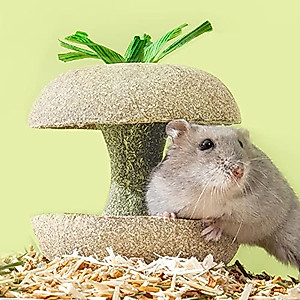 LUOZZY Hamster Chew Toys for Teeth Grinding Chinchilla Teeth Grinding Toys Portable Hamster Treat Chew Toys for Dwarf Hamsters Rat Guinea Pigs