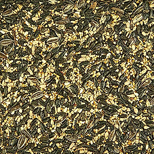 Kaytee Northeast Regional Wild Bird Blend, 7-Pound Bag