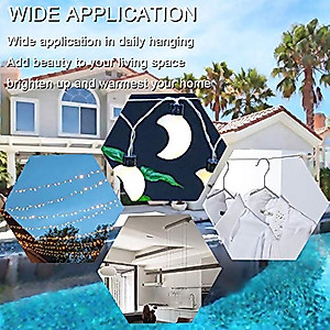 Picture Hanging Wire 1.5mm Up to 150lbs,100Feet(30.5M) Stainless Steel Wire Spool with 40Pcs Aluminum Crimping Loop Sleeve,Heavy Hanging Kit for Photo Frame Picture,Artwork,Mirror,String Light Hanging