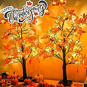 [ 2 Pack & Timer ] 24 Inch Lighted Maple Tree Fall Decorations with 48 LEDs Timer Battery Operated Artificial Autumn Tabletop Tree for Thanksgiving Harvest Indoor Home Decor