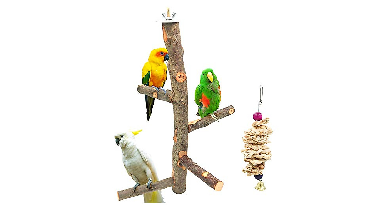 Bird Perch Natural Apple Wood Stand for Small Birds | Enrich & Play