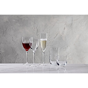 Schott Zwiesel Tritan Crystal Glass Audrey Barware Juice/Whiskey Glass, 13.5-Ounce, Set of 6