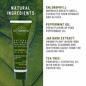 EcoTomorrow Tea Tree Chlorophyll Whitening Toothpaste with Peppermint Essential Oil and Natural Juá - Fluoride Free, Plant Based, Vegan - 4.0oz (Pack of 3)