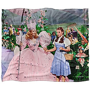 The Wizard of Oz Stanley Desantis Vintage Dorothy and Glinda Silky Touch Super Soft Throw Blanket 50" x 60"