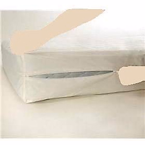 Dream Solutions USA DS Solutions USA Medium Soft Innerspring Mattress Only with Mattress Cover Protector - Good for Your Back, Fully Assembled, Orthopedic (Queen 60"x80"x10")