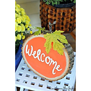 Wilsons 40003 Basswood Thick Round, 11" to 12"