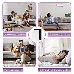 115115 replacement Filter for Winix Air Purifier C535 Filter A, 2 True HEPA(H13) Filter + 8 Activated Carbon Filters （2 Sets-A Total of 10）