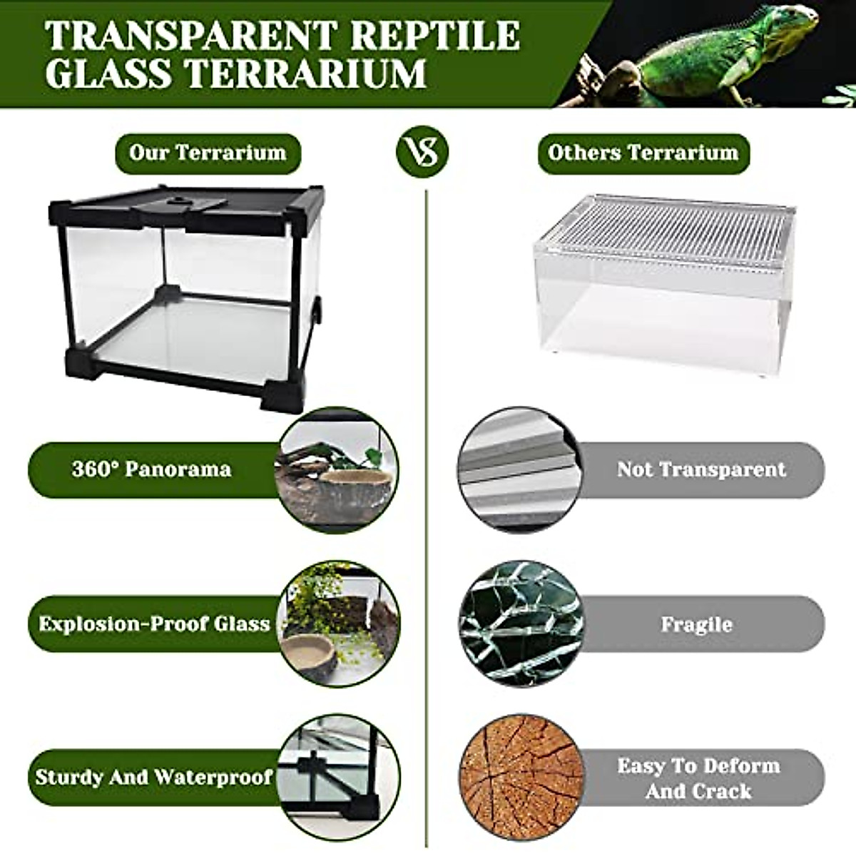 Hamiledyi Mini Reptile Glass Terrarium Tank,8"x8"x6" Hermit Crab Breeding Box Transparent Jumping Spider Enclosure Small Amphibians Habitat Cage for Baby Snake Gecko Lizard Tarantula