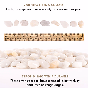 Galashield 5 lbs Approx. 130 White River Rocks Stones for Plants Pebbles for Indoor Plants | Aquarium Fish Tank Rocks | Polished Decorative Rocks for Vases (0.8-1.6 Inches)