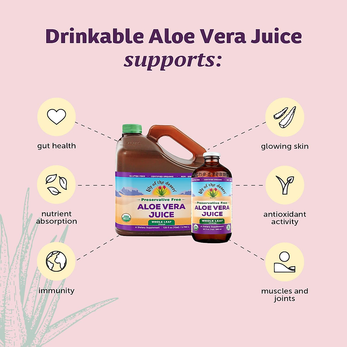Lily of the Desert Aloe Vera Juice - Whole Leaf Filtered Aloe Vera Drink, Non-GMO Aloe Juice with Natural Digestive Enzymes for Gut Health, Stomach Relief, Wellness, Glowing Skin, 32 Fl Oz