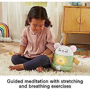 Fisher-Price Toddler Toy Meditation Mouse Plush Sound Machine With Music And Light For Preschool Kids Ages 2 To 5 Years Old