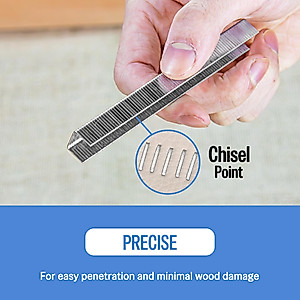 meite 20 Gauge 1/2-Inch (12.3mm) Crown 5/8-Inch Length Upholstery Staples for Staple Gun, Fine Wire Galvanized Staples for Carpet, Work Box, Cable, Shed (5,000 Pieces)