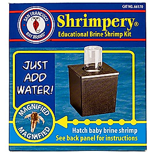 San Francisco Bay Brand Shrimpery Brine Shrimp Kit for Hatching Baby Brine Shrimp