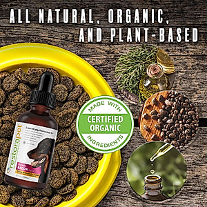 RestoraPet 4-Pack Dog & Cat Bacon Liquid Multivitamin | Dog Arthritis Pain Relief | Hip & Joint Vitamins for Dogs - Anti Inflammatory Supplement for Dogs & Cats | Organic & Non-GMO, Vet Approved