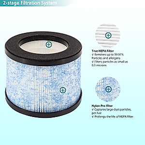 Lhari 2-Pack H13 MA-01CW True HEPA Filter Replacement, Compatible with Miko Ibuki Air Purifier C102