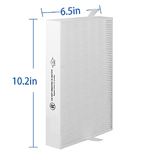 Breshair HPA5100B True HEPA Replacement Filter Compatible with Honeywell Air Purifiers HPA5100 HPA5150 HPA3100, 2 R HEPA, 2 S Carbon and 4 A Pre-Filters, Part # HRF-R1 HRFSC1 HRF-ARVP100 HRF-A100